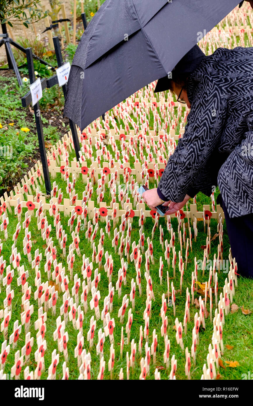 Ww2 poppy fields hi-res stock photography and images - Alamy