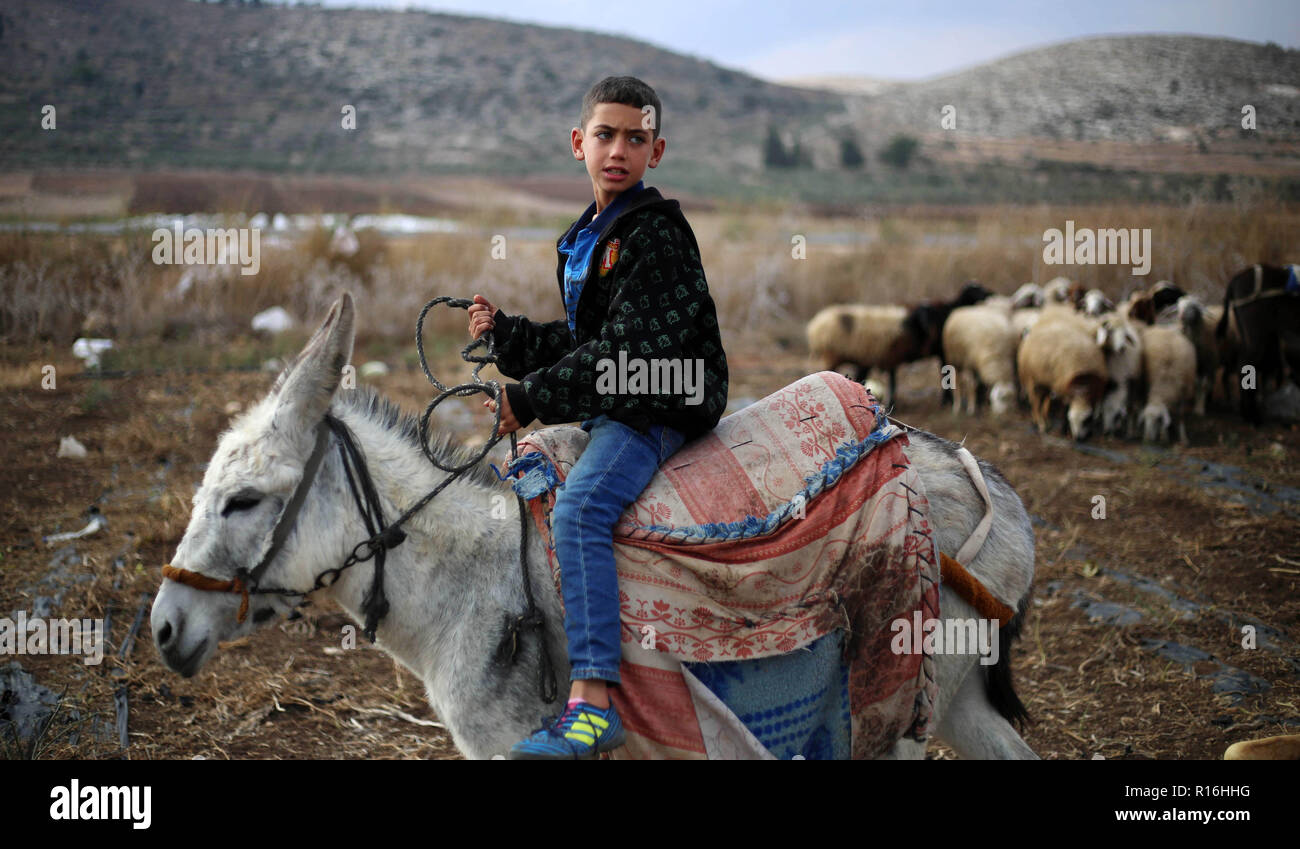 Jenin, West Bank, Palestinian Territory. 9th Nov, 2018. A Palestinian ...