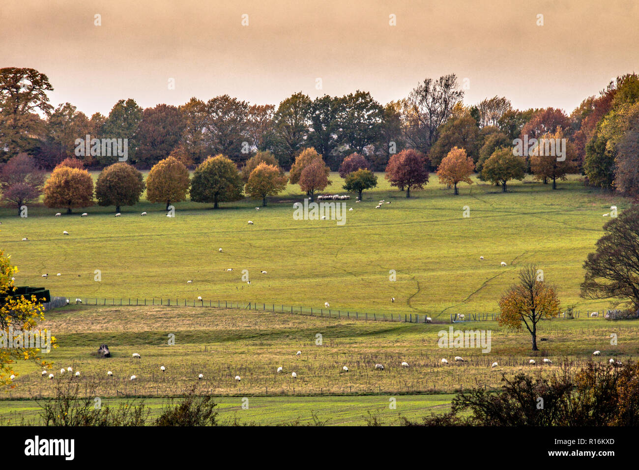 Philip mott hi-res stock photography and images - Alamy