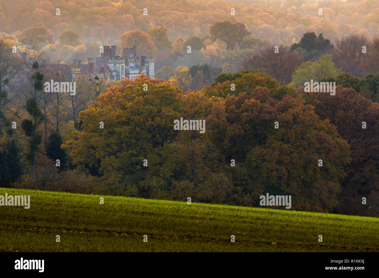 Philip mott hi-res stock photography and images - Alamy