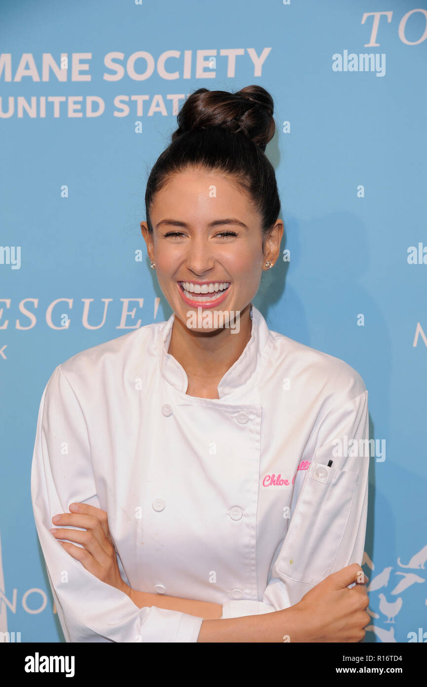 NEW YORK, NY - NOVEMBER 09: Chloe Coscarelli attends The Humane Society ...
