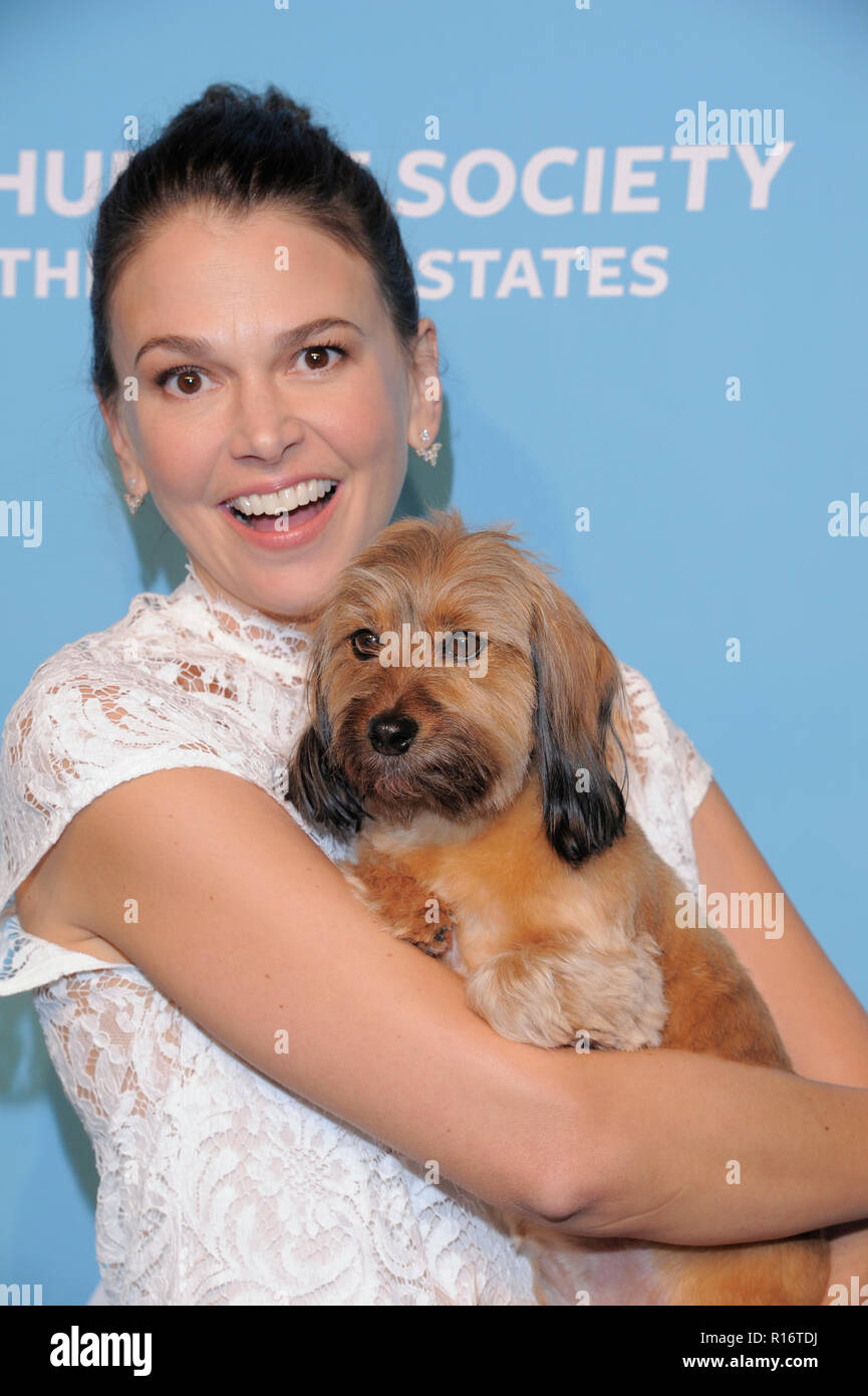 Actress sutton foster hi-res stock photography and images - Alamy