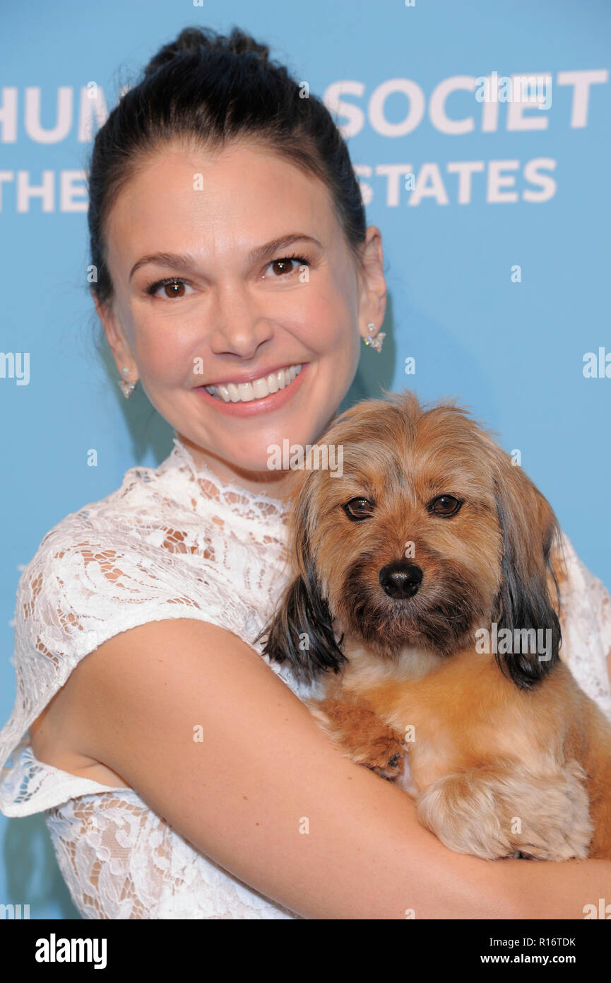 NEW YORK, NY - NOVEMBER 09: Actress Sutton Foster attends The Humane ...