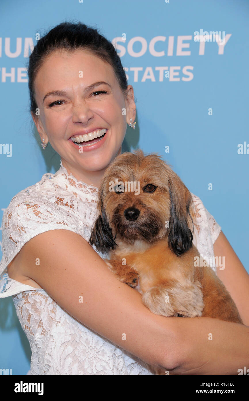 NEW YORK, NY - NOVEMBER 09: Actress Sutton Foster attends The Humane ...