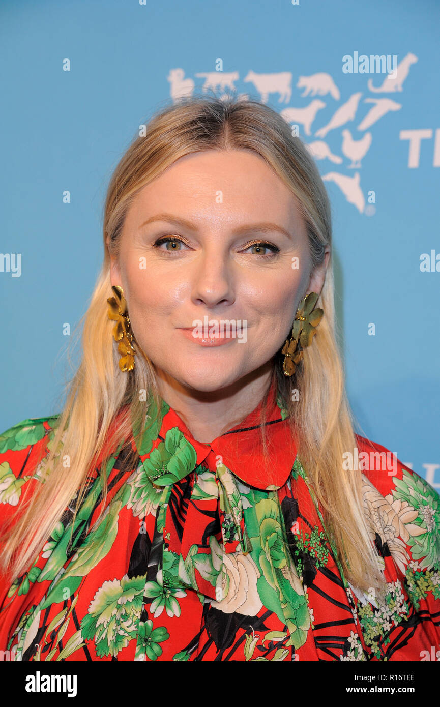 NEW YORK, NY - NOVEMBER 09: Laura Brown attends The Humane Society’s ...