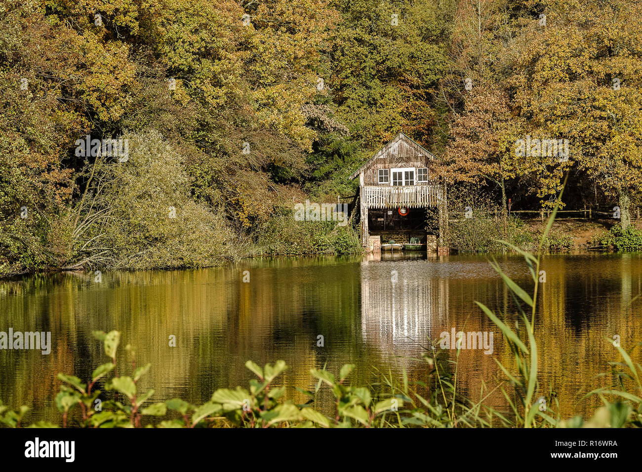 Winkworth Arboretum, Godalming. 10th November 2018. Beautiful autumnal ...
