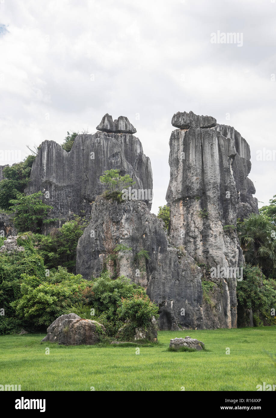 Stone Forest in Kunming China an area of limestone rock scattered over ...