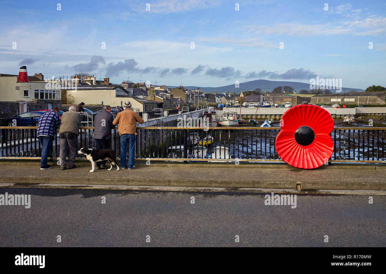Giant poppy hi-res stock photography and images - Alamy