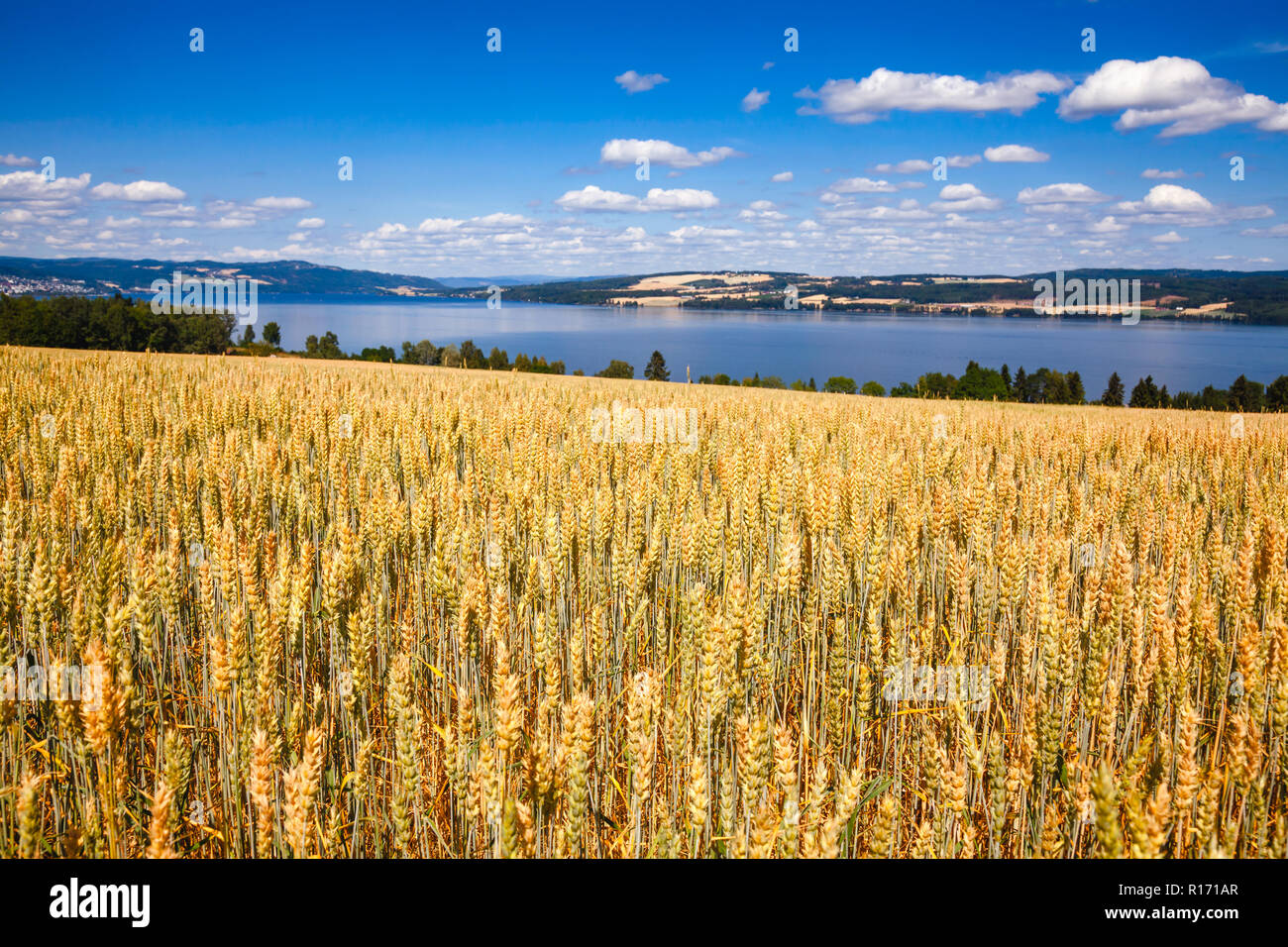 Norwegian farming hi-res stock photography and images - Alamy