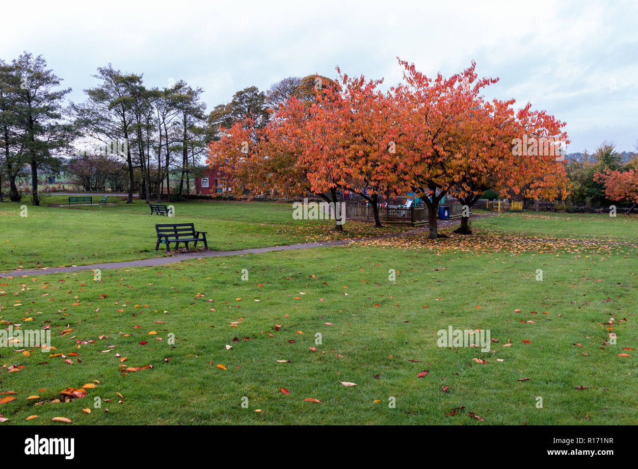 Grange Moor High Resolution Stock Photography and Images - Alamy