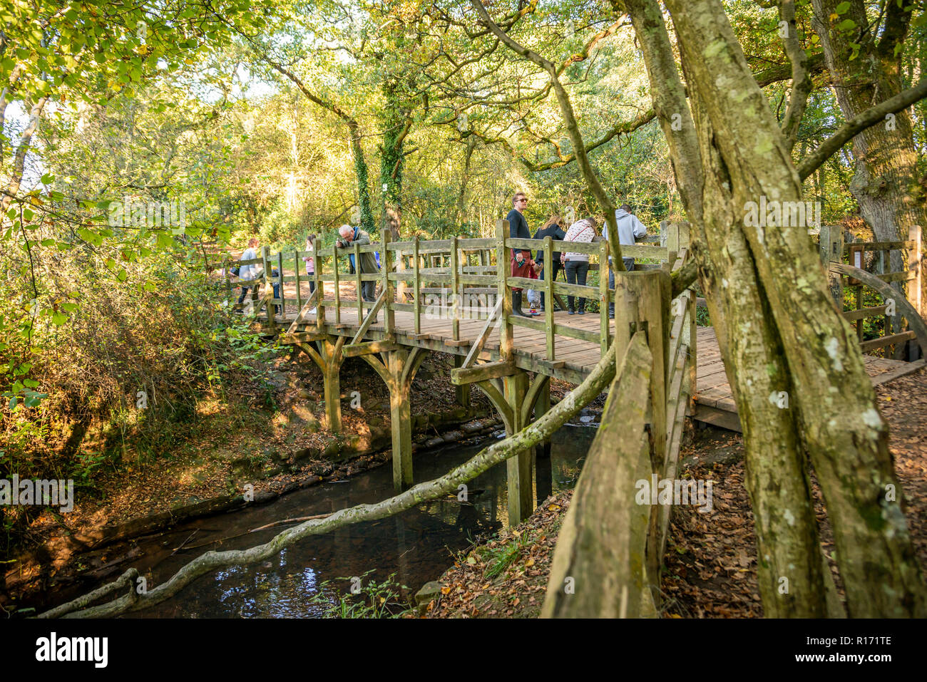 Pooh bridge sussex hi-res stock photography and images - Alamy