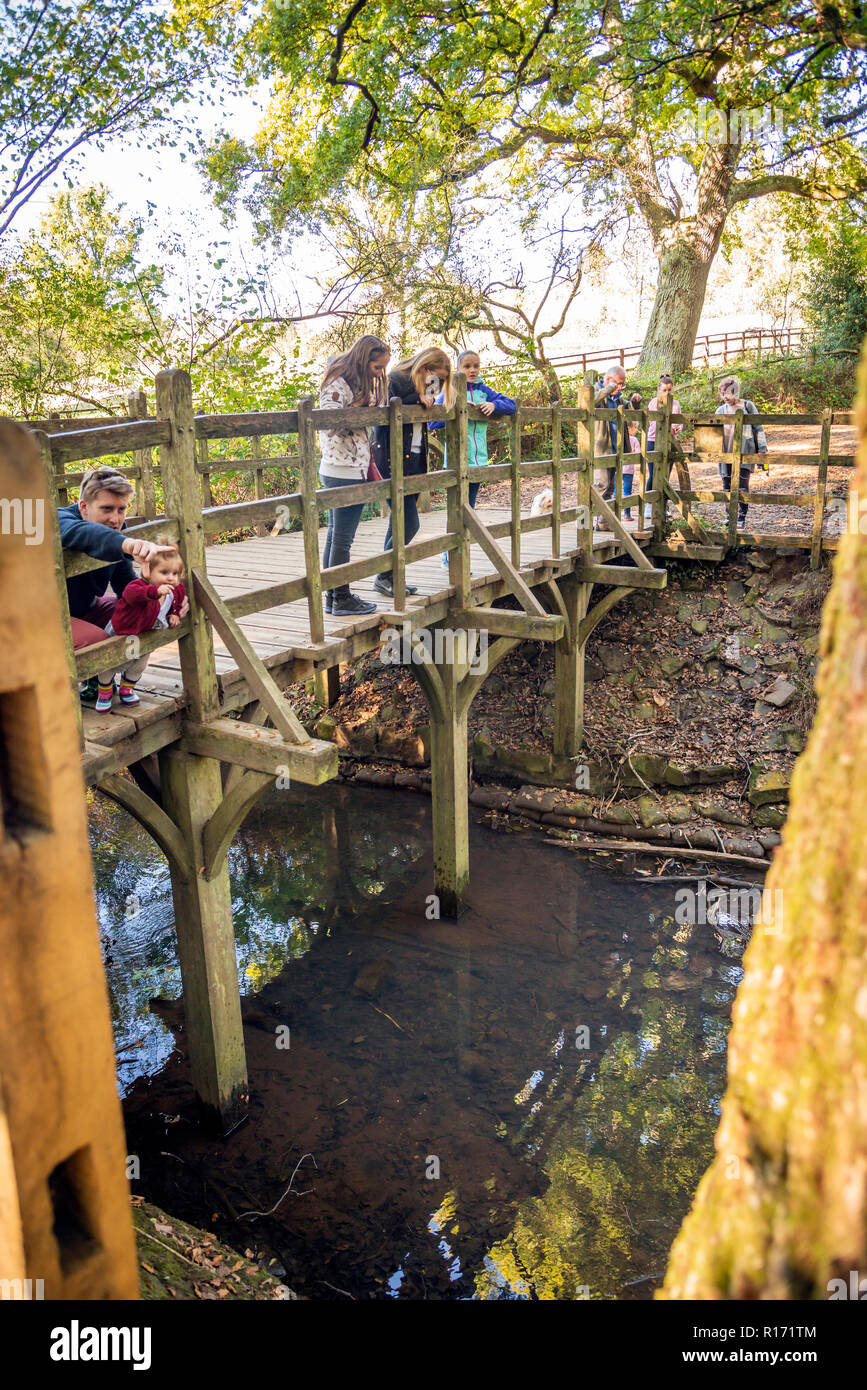 Ashdown forest hi-res stock photography and images - Alamy