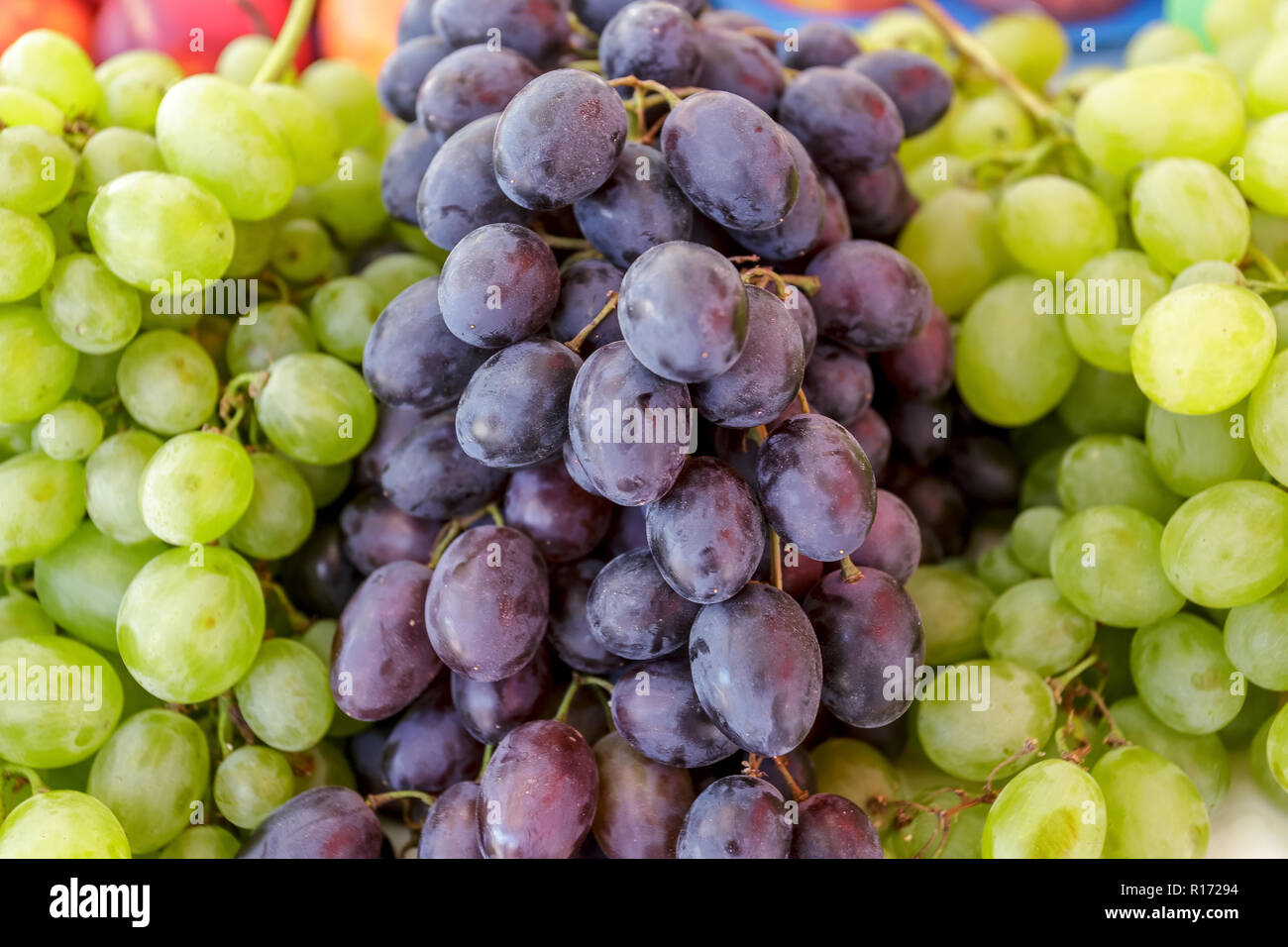 Red and white grapes piled in green market Stock Photo - Alamy