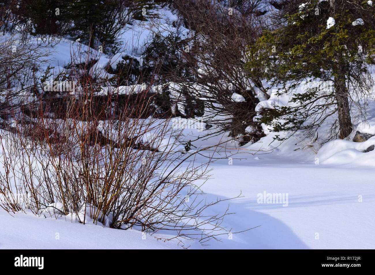 Inspirational country scene hi-res stock photography and images - Alamy