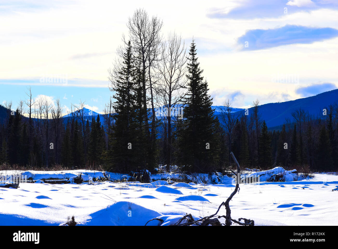 Bill allen hi-res stock photography and images - Alamy