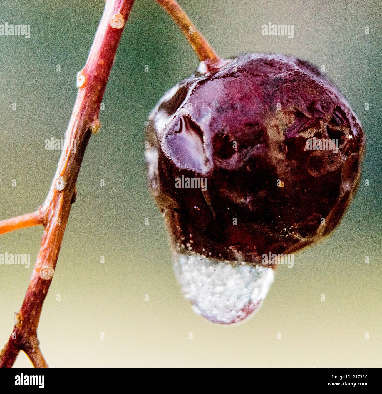 Frozen water droplet hi-res stock photography and images - Alamy