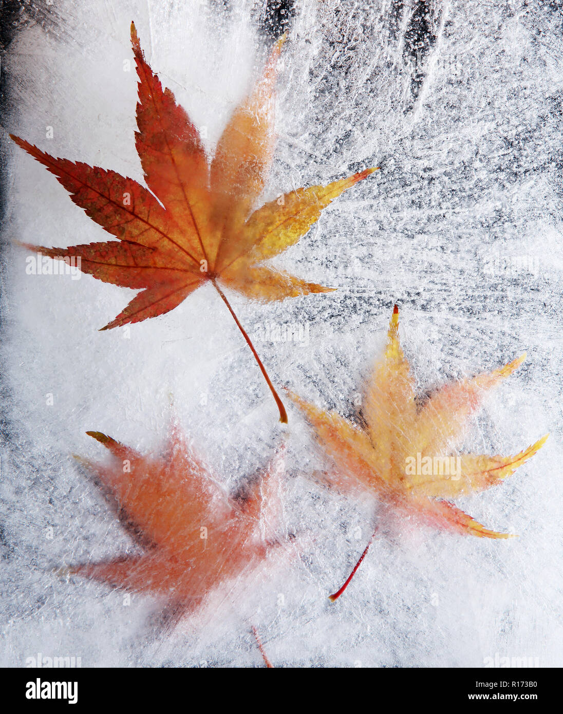 Frozen block ice hi-res stock photography and images - Alamy