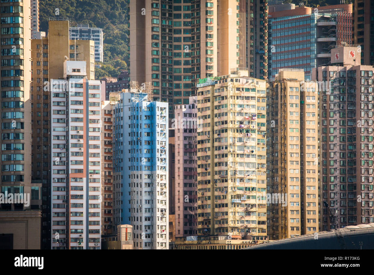 Densely packed hi-res stock photography and images - Alamy