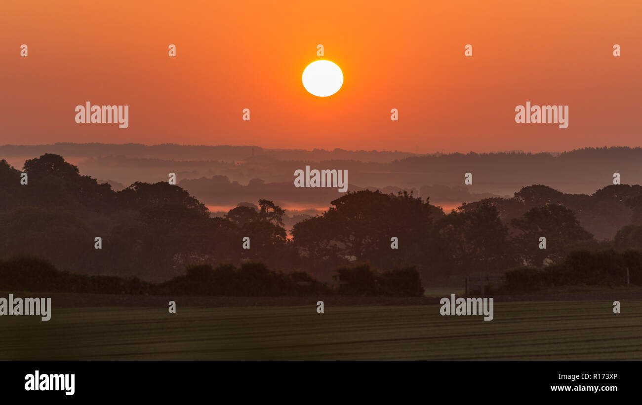Sunrise over trees Stock Photo - Alamy