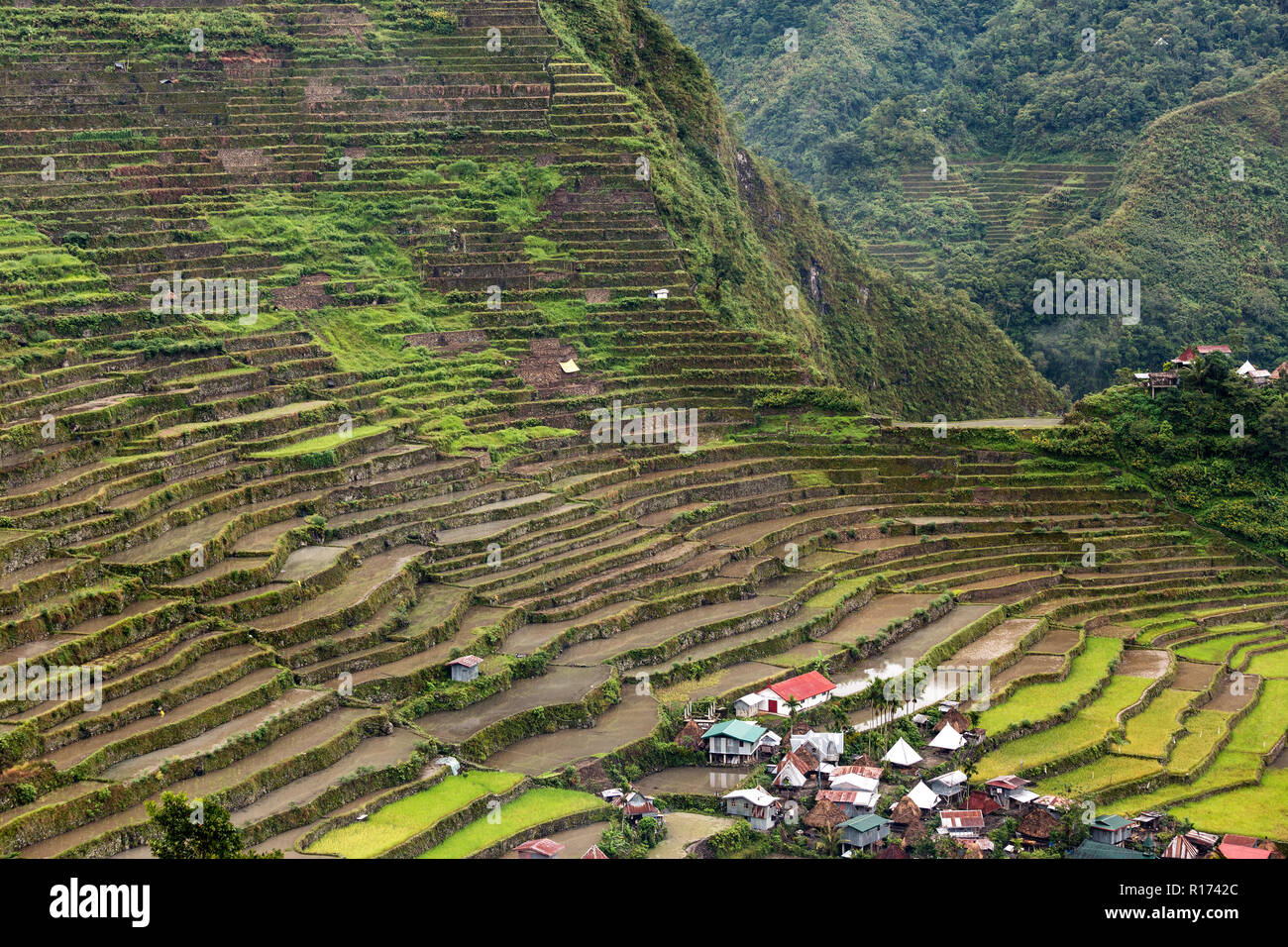 Famous rice fields terraces in the Batad village in Philippines Stock ...