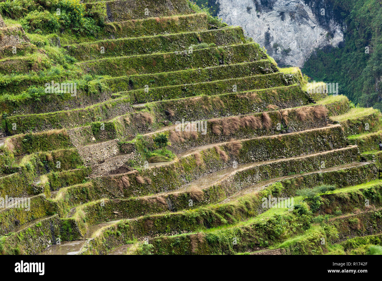 Stone rice terraces steps in the famous Batad village in Philippines ...