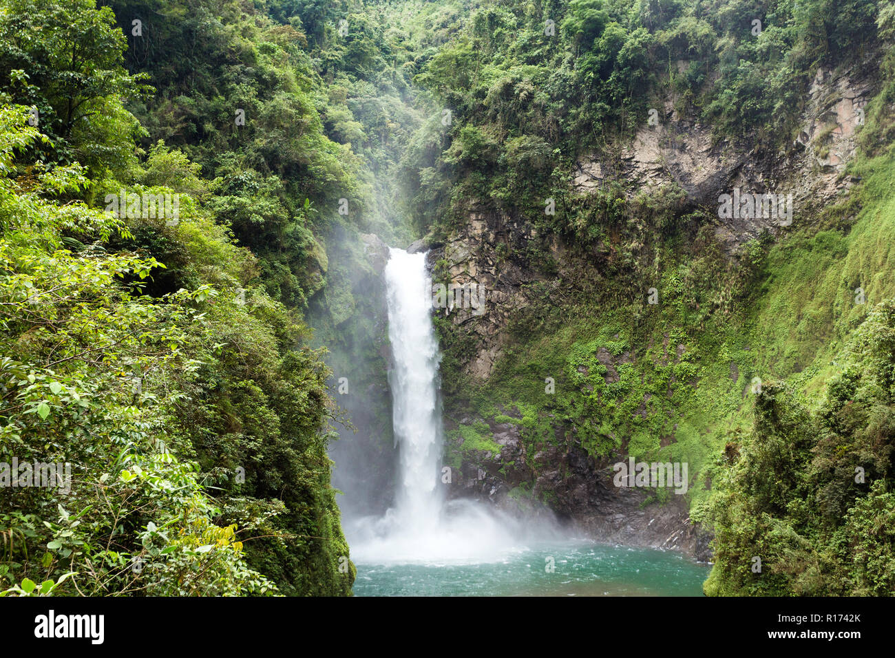 Tappiyah tropical waterfall in Batad, Philippines Stock Photo - Alamy
