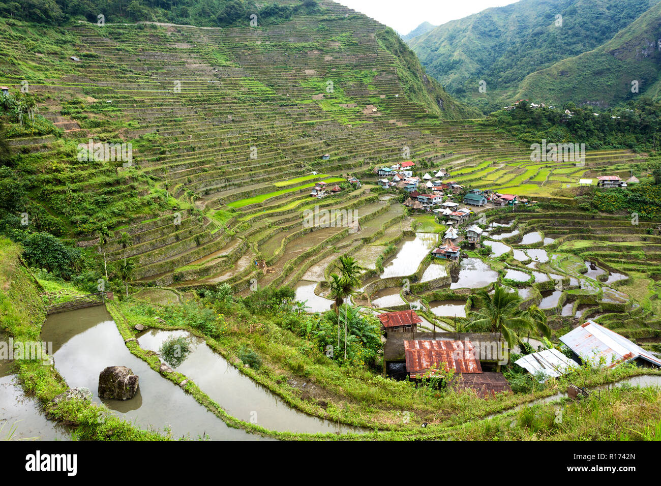 Rice fields in the Batad village in Philippines Stock Photo - Alamy