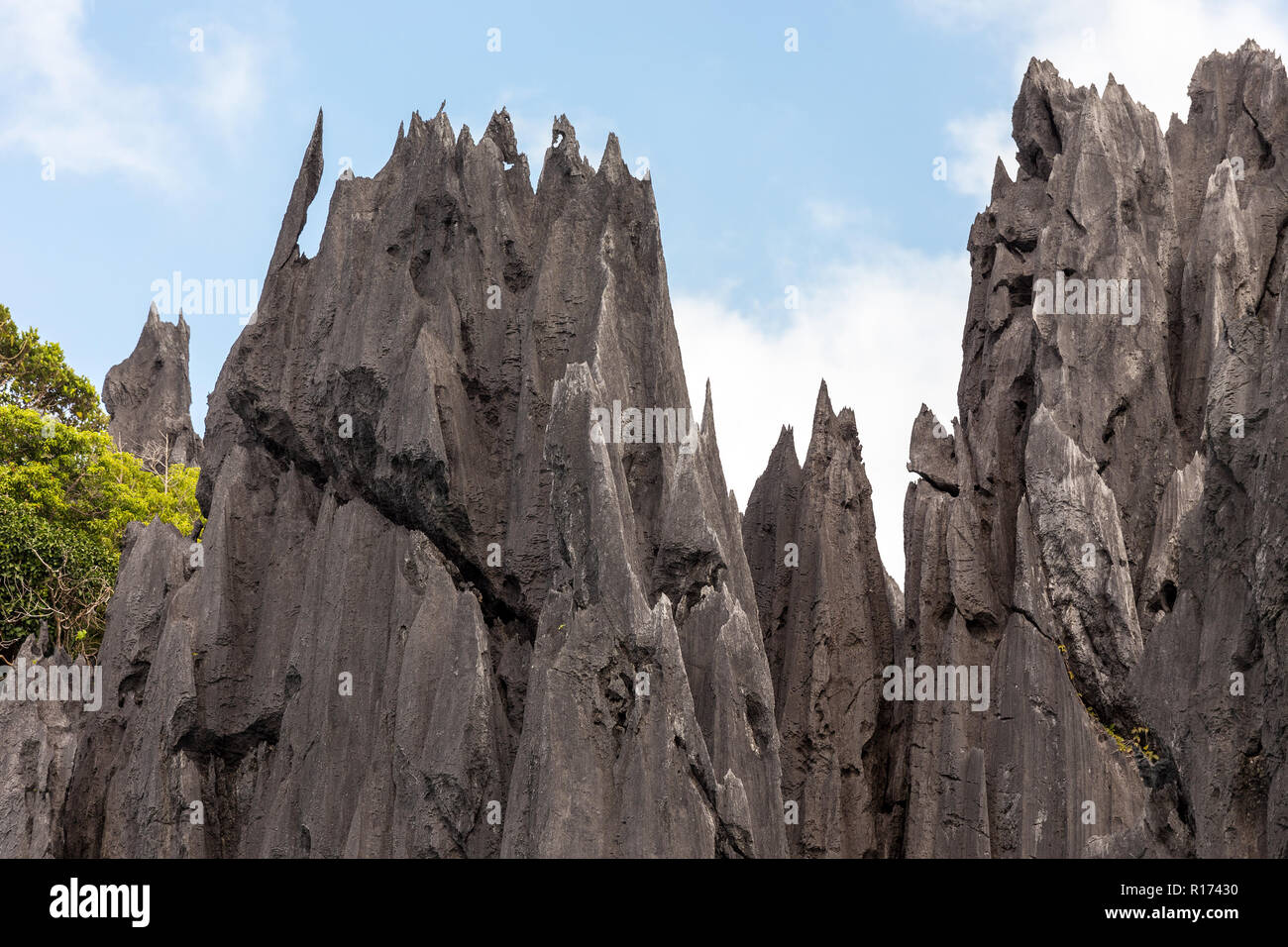 Sharp limestone detail of the Palawan coastline in Philippines Stock ...