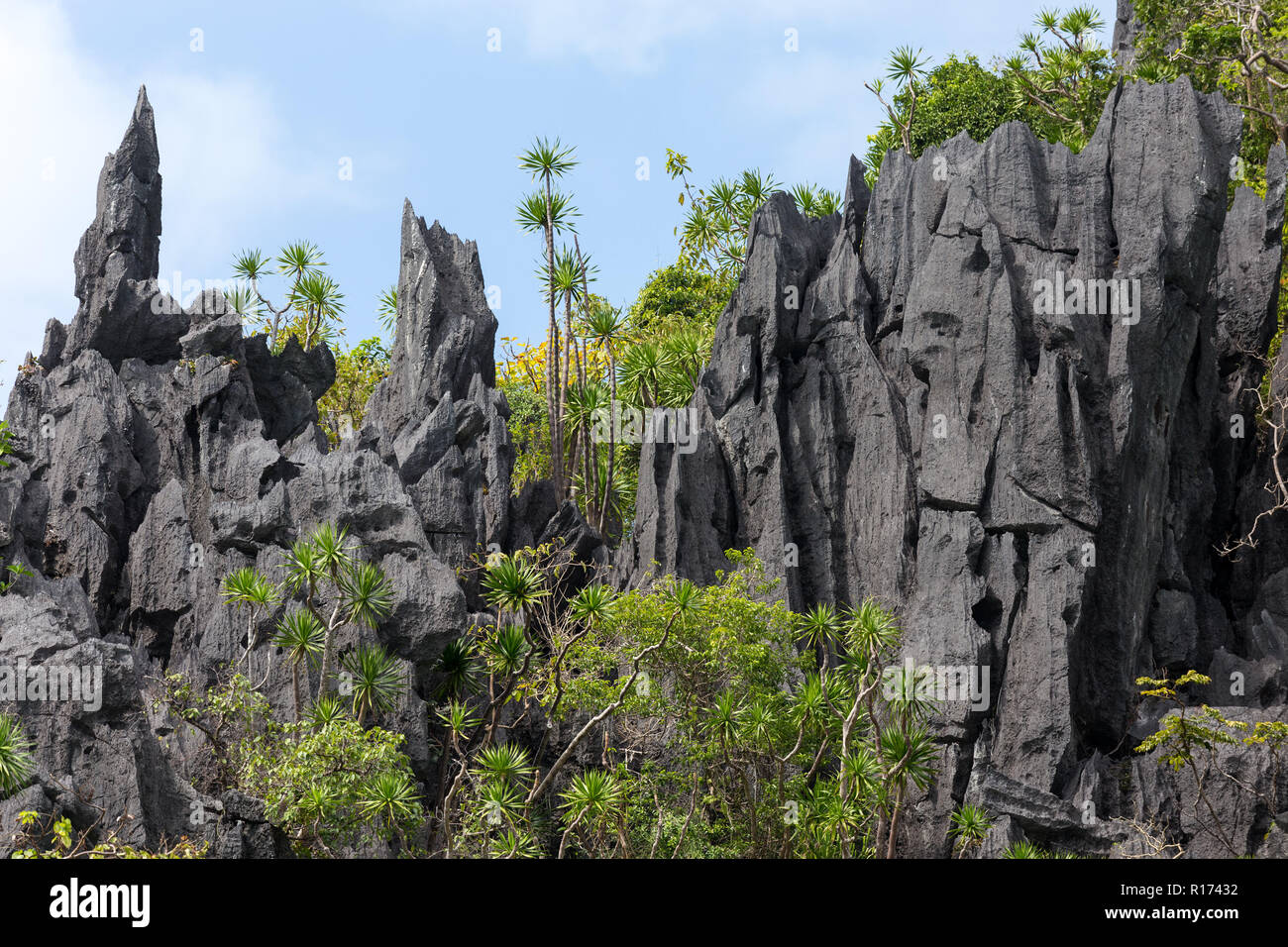 Limestone tropical coastline landscape in Palawan iqland, Philippines ...