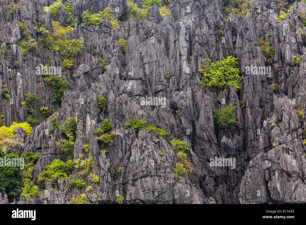 Huge limestone cliff coastline in Palawan with traditional Bangka boats ...