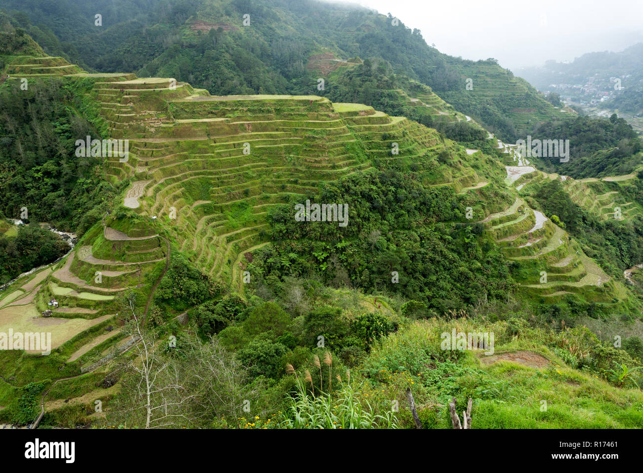 Famous rice fields terraces in the banaue village in Philippines Stock ...