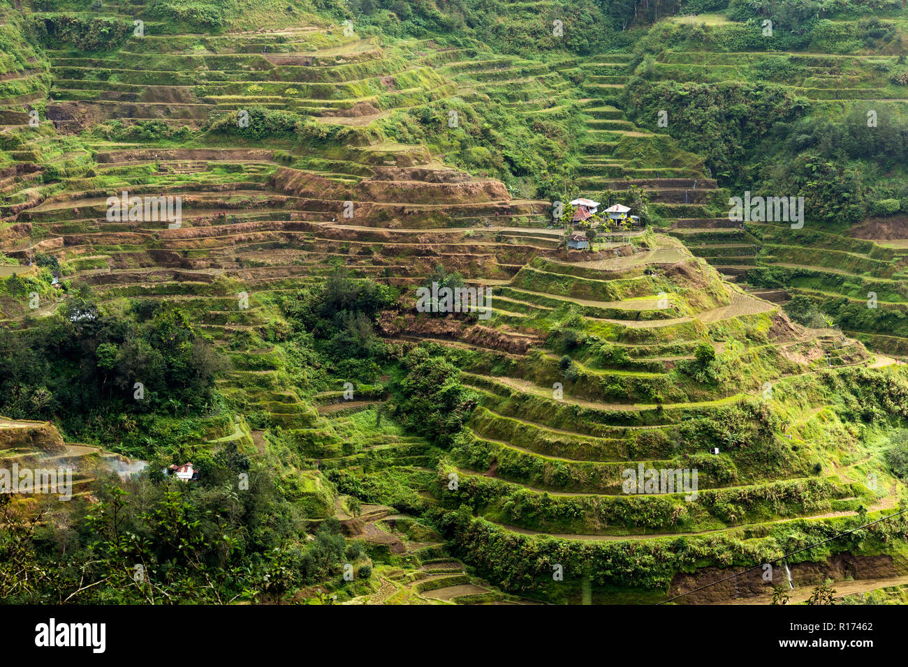 Famous rice fields terraces in the banaue village in Philippines Stock ...