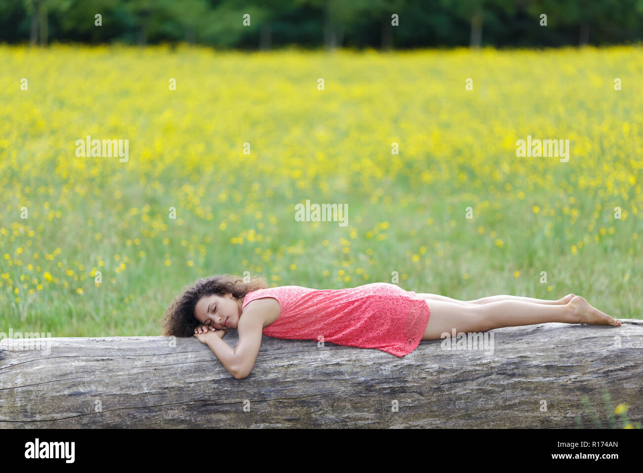 Beautiful young woman sleeping on a log or tree trunk in a rural field ...