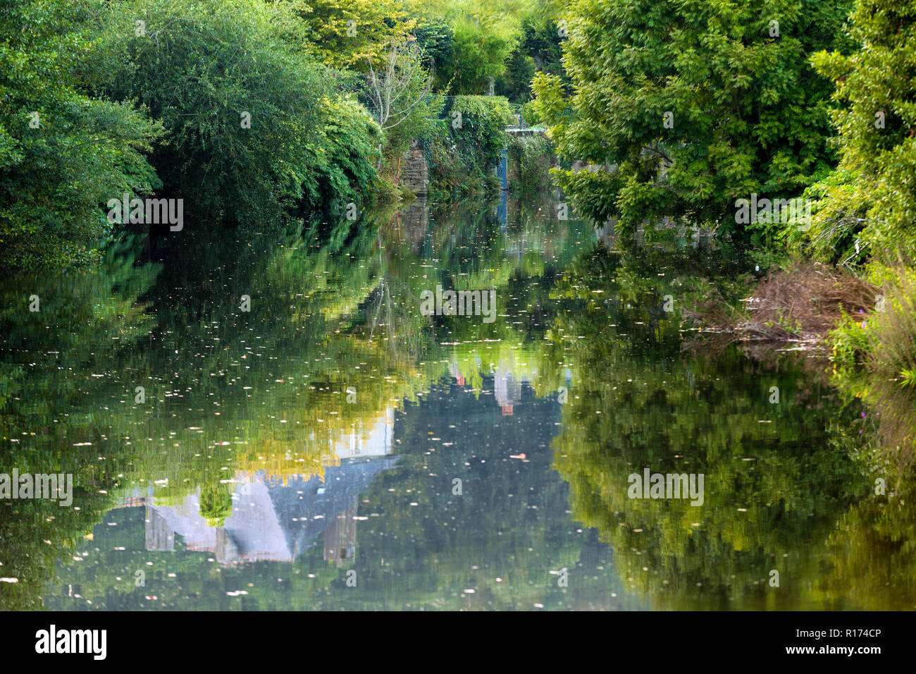 Forest reflecting on river in Quimperle city, Brittany, France Stock ...