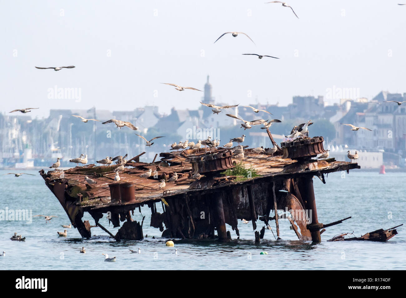 Rusty ship wreck from world war II and seagulls in the port of Lorient ...