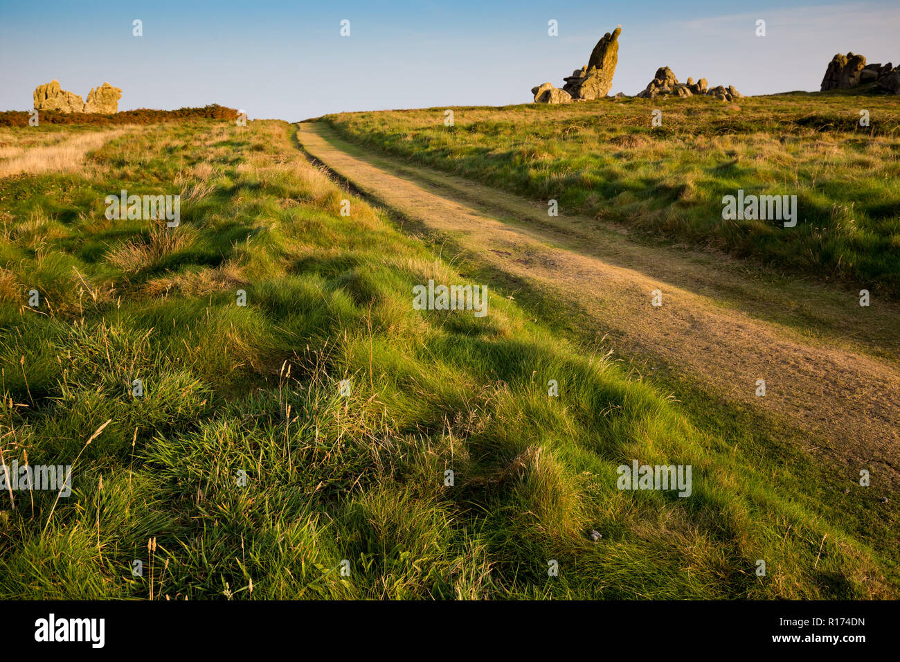 Wild path in coastline meadow in Ushant island, Brittany, France Stock ...