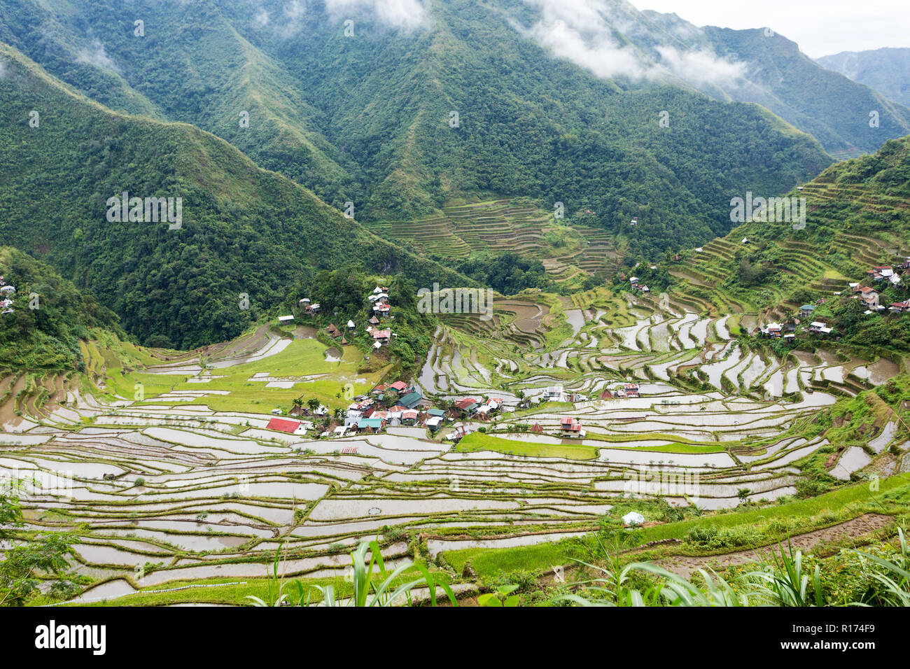 Famous rice fields terraces in the Batad village in Philippines Stock ...