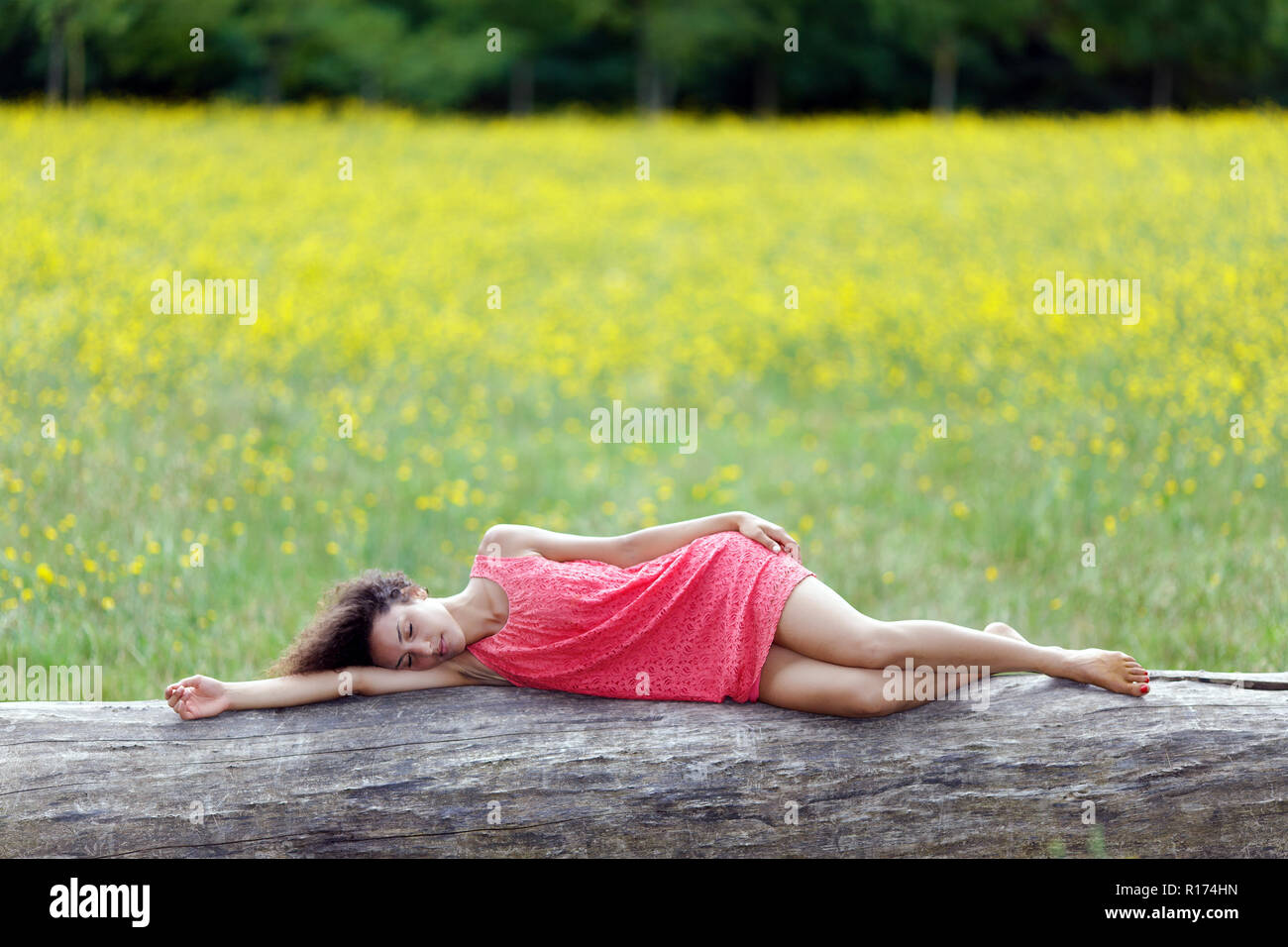 Beautiful young woman sleeping on a log or tree trunk in a rural field ...