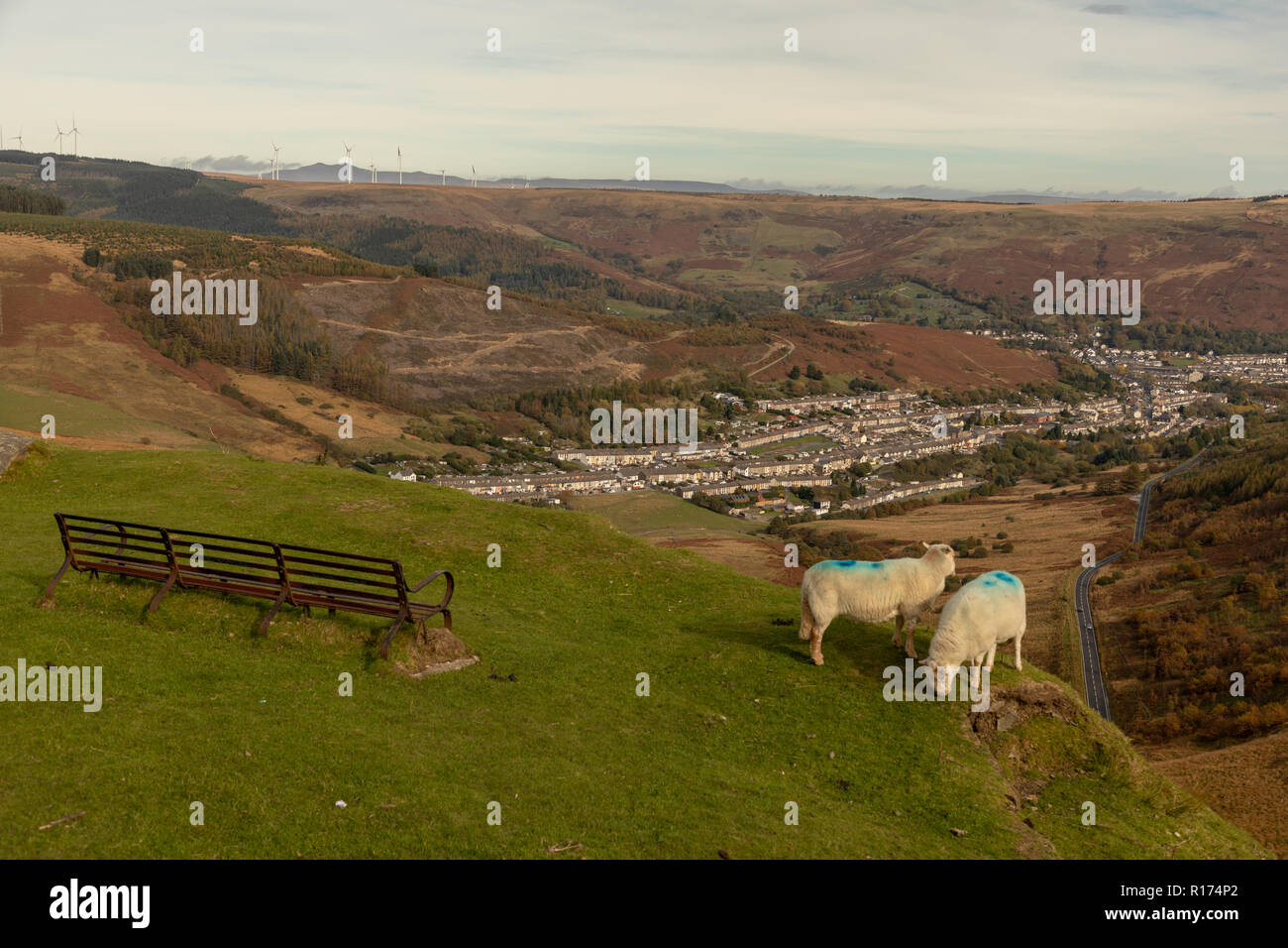 Treorchy cwmparc rhondda hi-res stock photography and images - Alamy