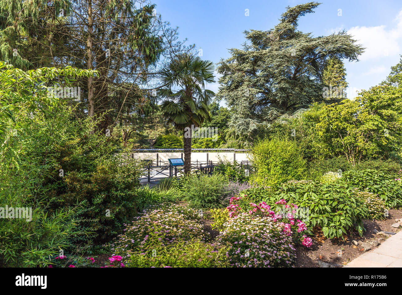 Ireland Kildare National Stud - Japanese Gardens Stock Photo - Alamy