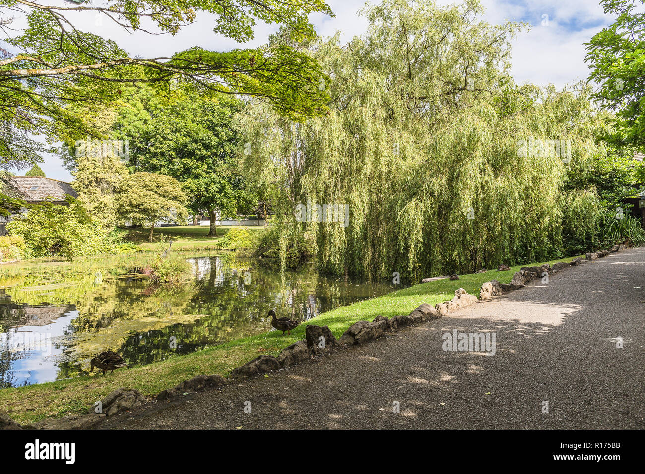 Ireland Kildare National Stud - Japanese Gardens Stock Photo - Alamy