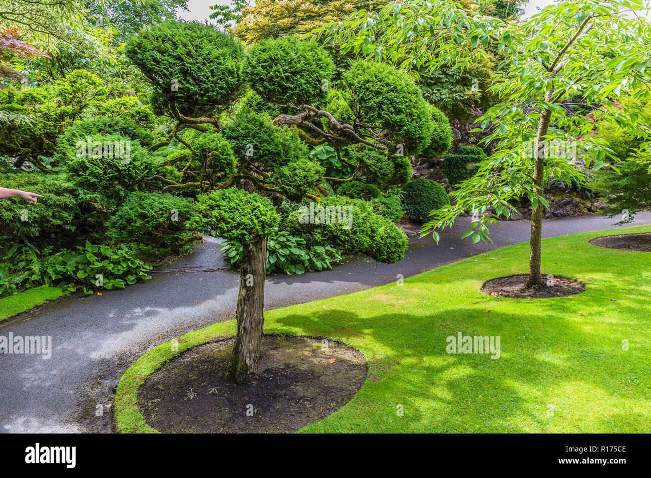 Ireland Kildare National Stud - Japanese Gardens Stock Photo - Alamy