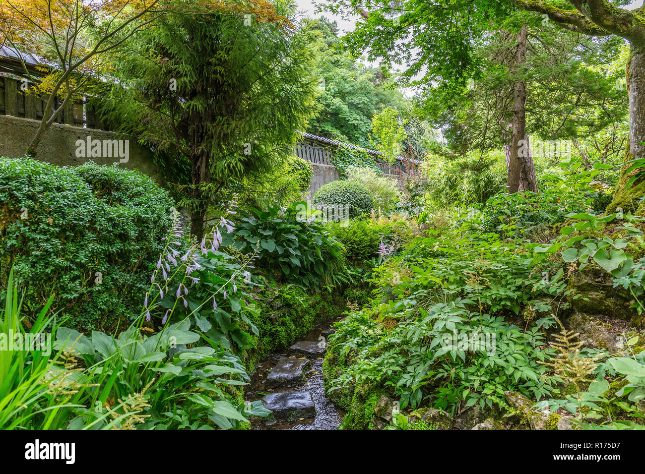 Ireland Kildare National Stud - Japanese Gardens Stock Photo - Alamy