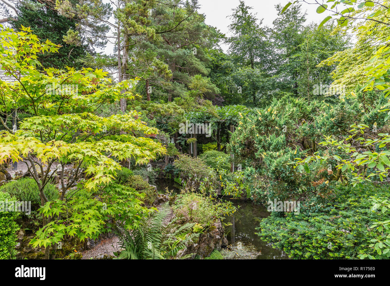 Ireland Kildare National Stud - Japanese Gardens Stock Photo - Alamy