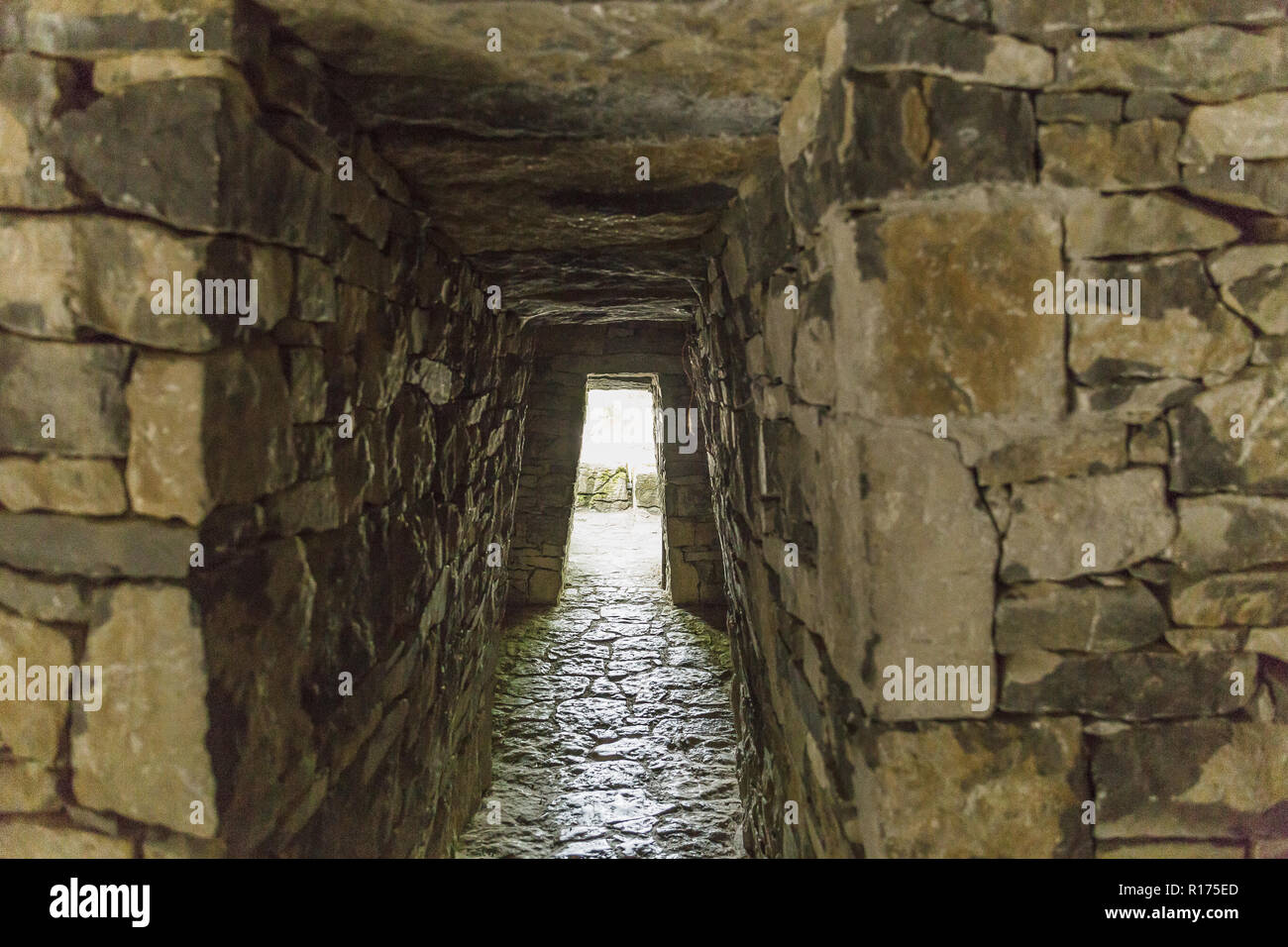 Ireland Kildare National Stud - Japanese Gardens Stock Photo - Alamy