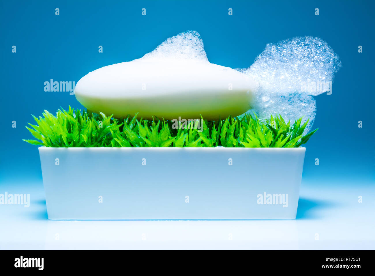 Soap with foam in the form of a fish in the box on the green grass on a ...