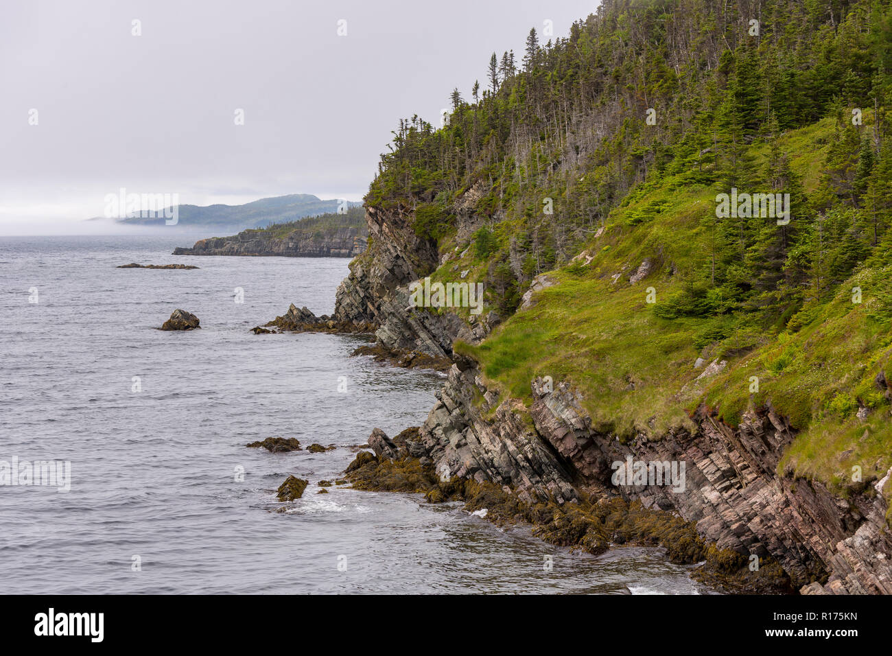 CAPE RANDOM, NEWFOUNDLAND, CANADA - View of coast from Random Passage ...