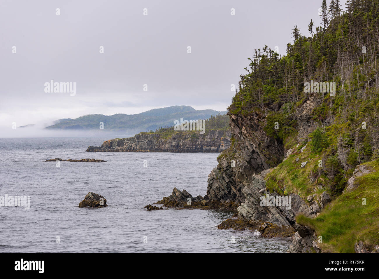 CAPE RANDOM, NEWFOUNDLAND, CANADA - View of coast from Random Passage ...