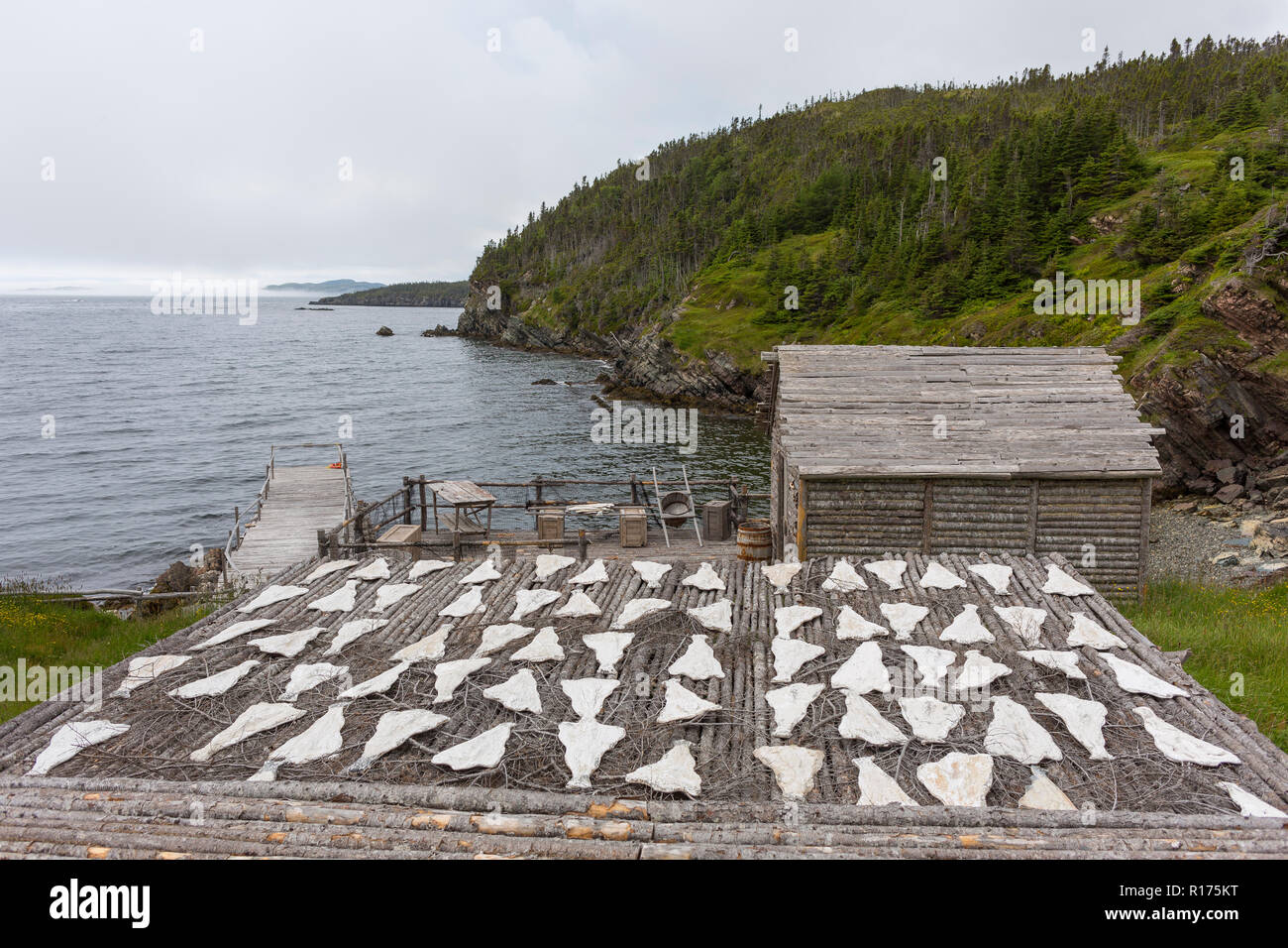 CAPE RANDOM, NEWFOUNDLAND, CANADA - Random Passage movie set, replica ...