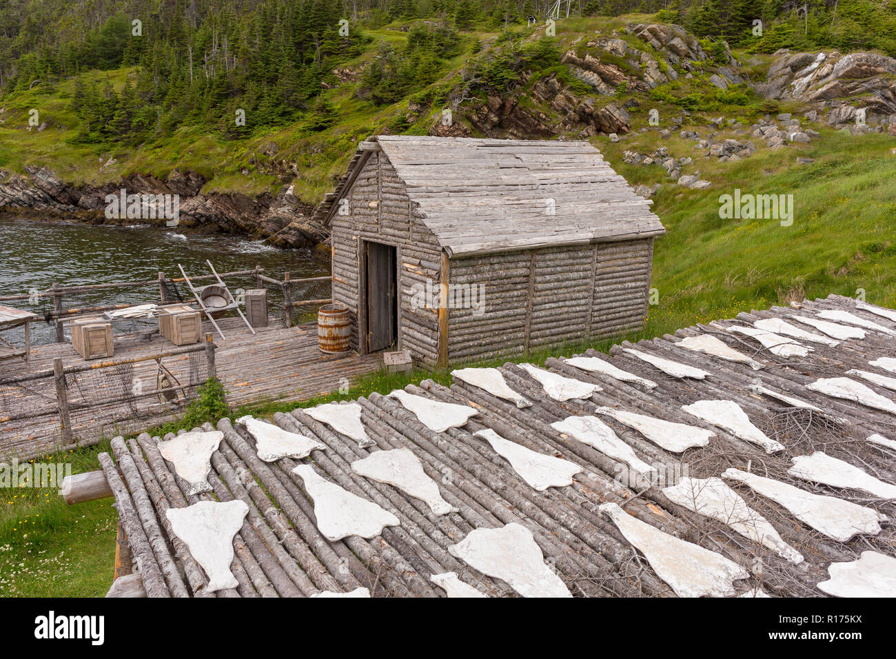 CAPE RANDOM, NEWFOUNDLAND, CANADA - Random Passage movie set, replica ...